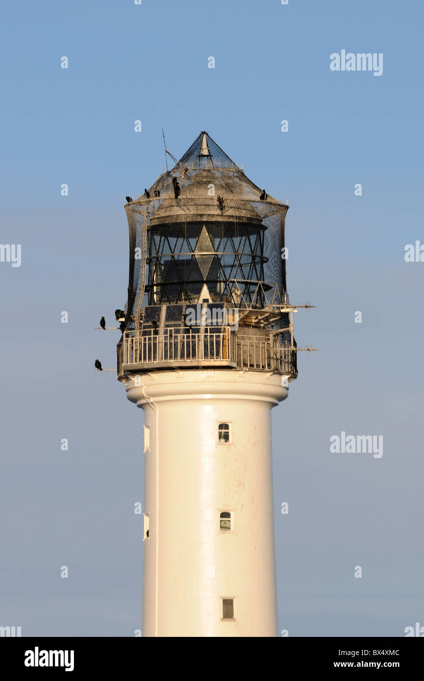 Close up view of the Bell Rock lighthouse (12 miles off of Arbroath ...
