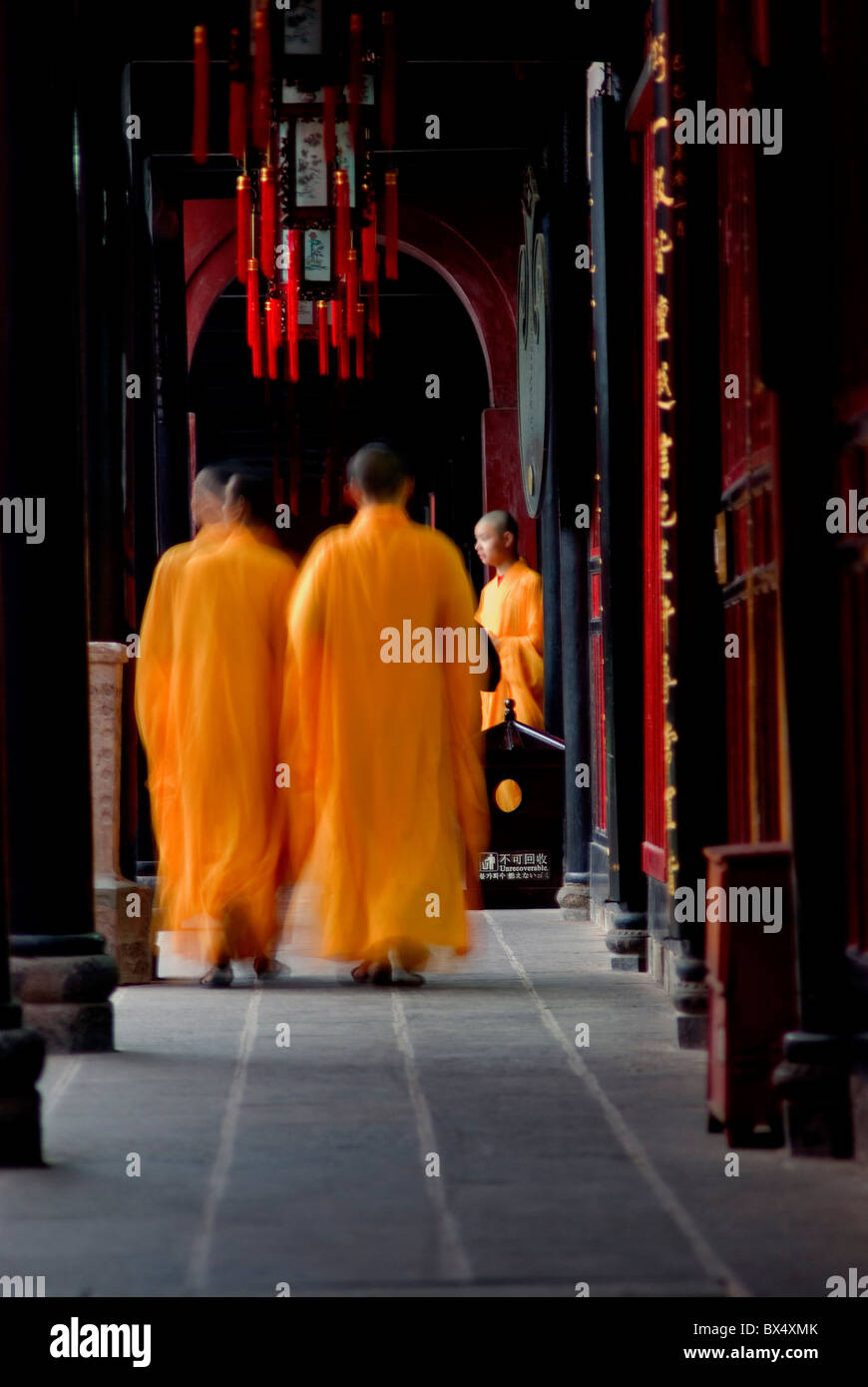 Buddhist monks returning from morning prayer at Wenshu Monastery ...