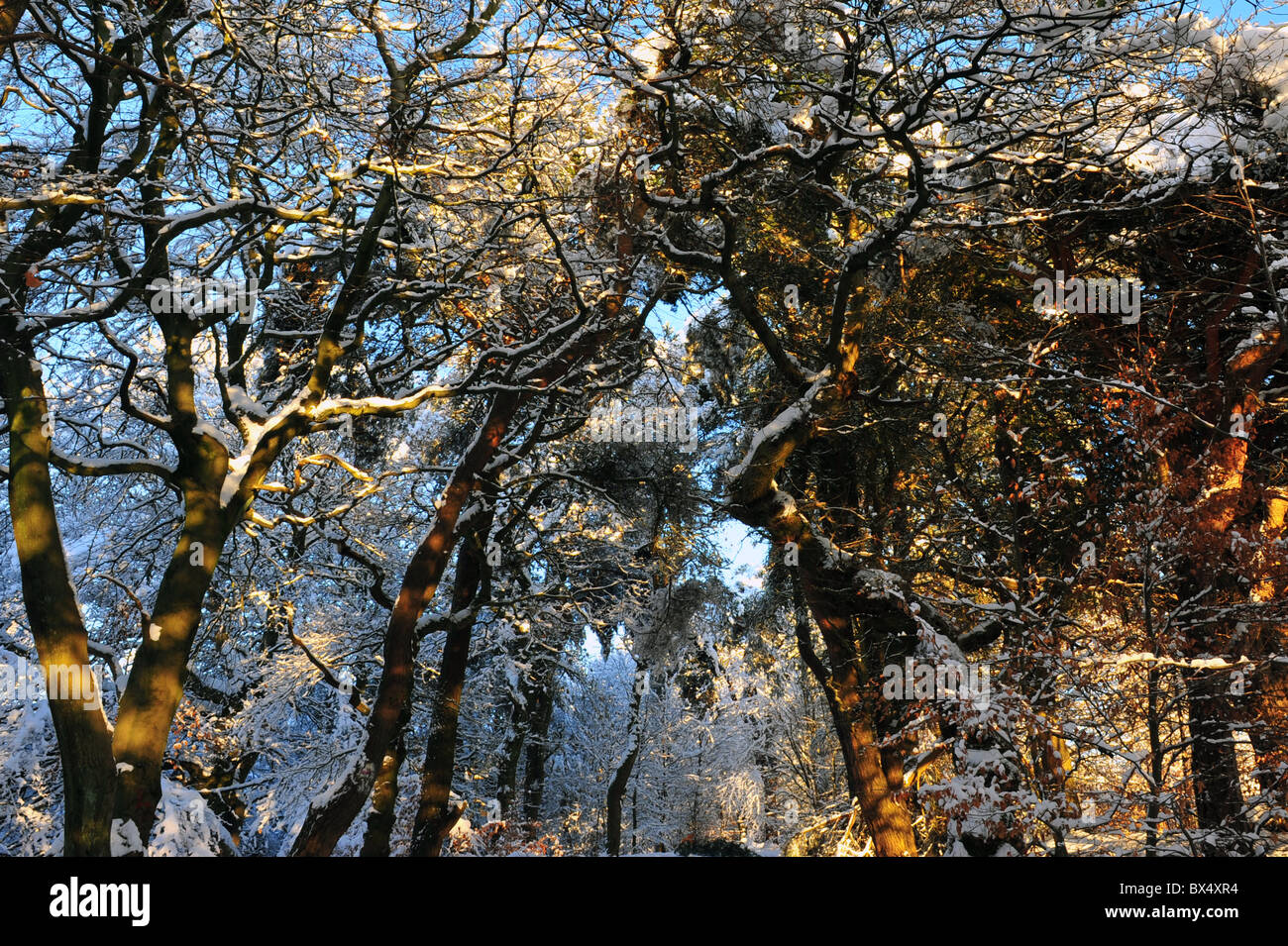 Scottish winter panorama hi-res stock photography and images - Alamy