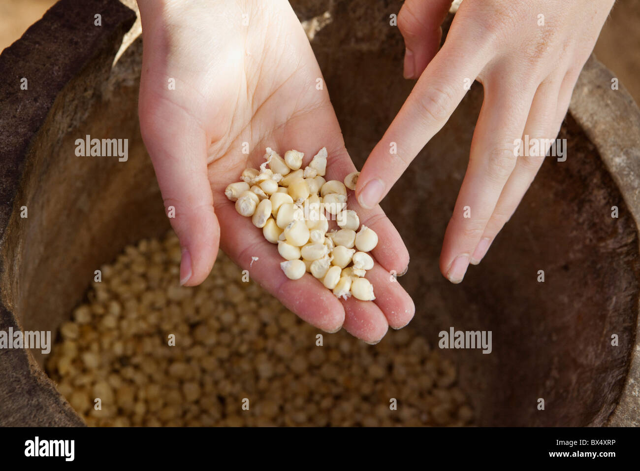 Harvesting corn africa hi-res stock photography and images - Alamy