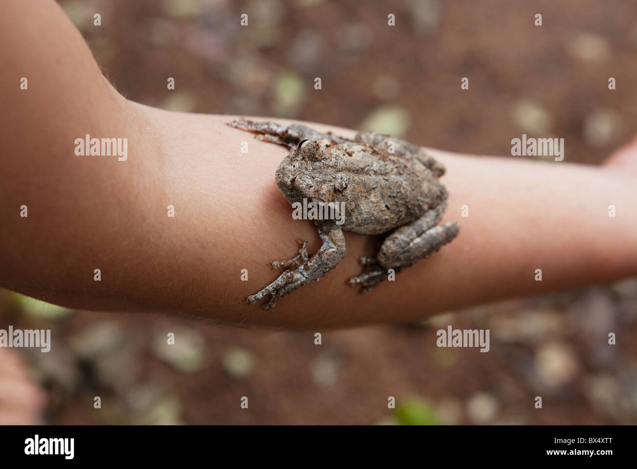 Woman holding frog hi-res stock photography and images - Alamy