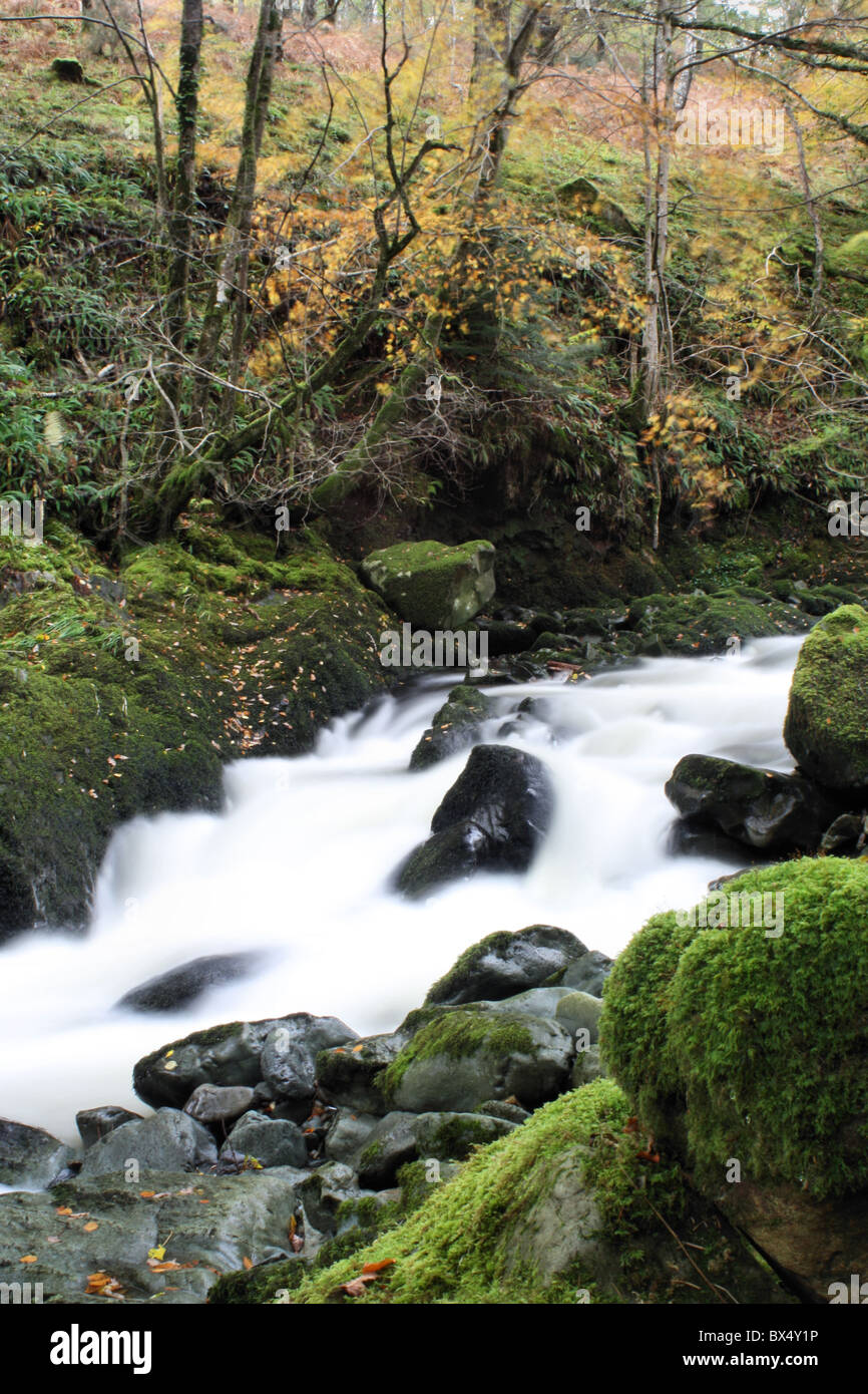 Afon clywedog hi-res stock photography and images - Alamy