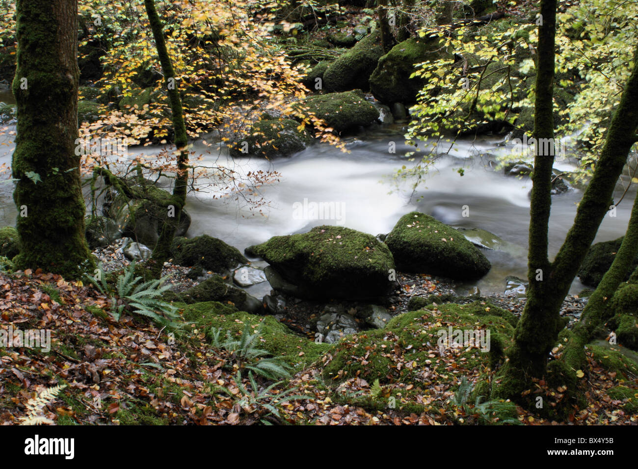 Fast flowing river hi-res stock photography and images - Alamy