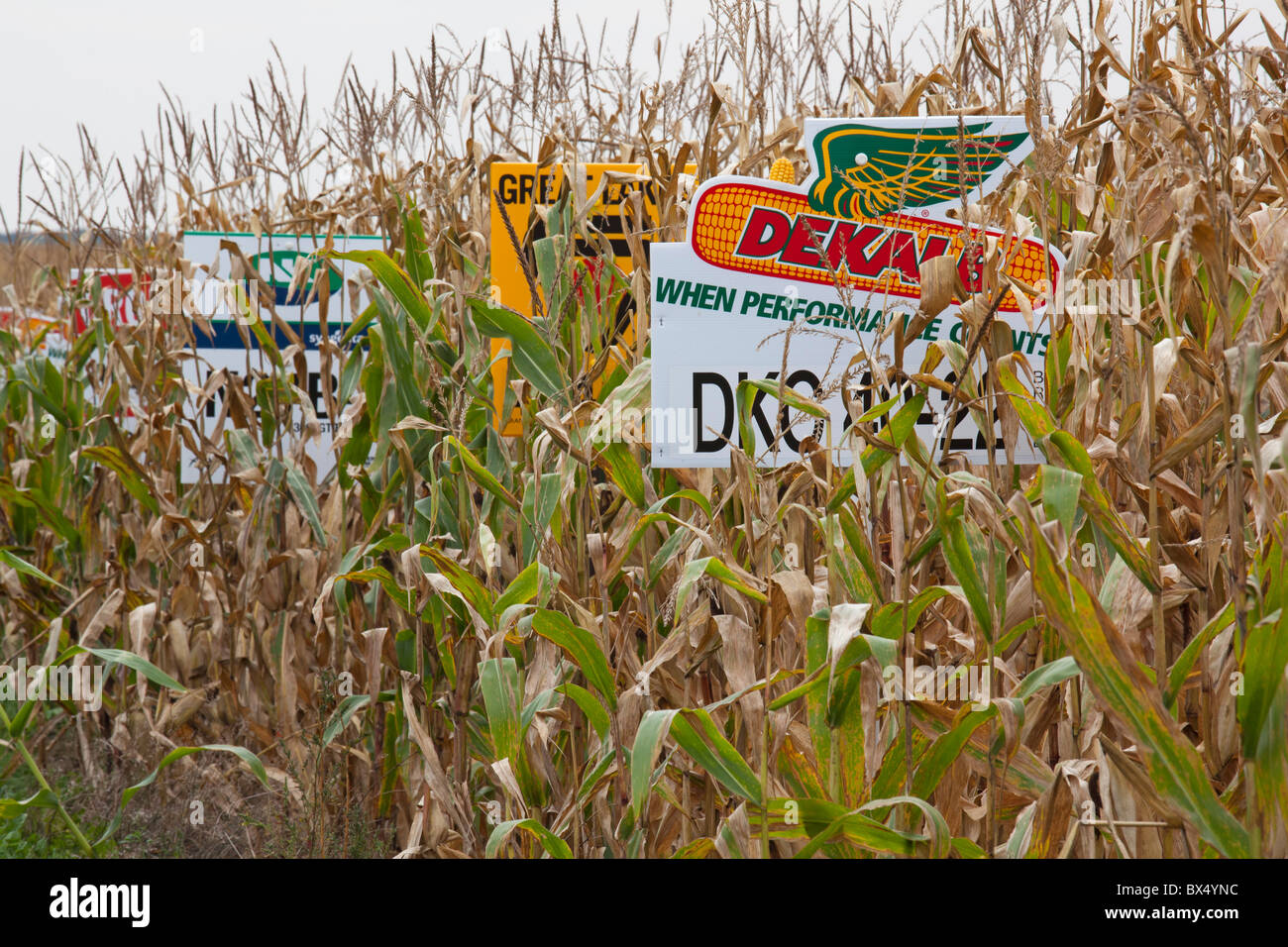 Different crop varieties signs hi-res stock photography and images - Alamy