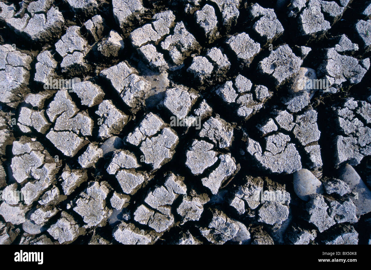 A dry lake bed in Brittany, France, during the summer drought Stock ...