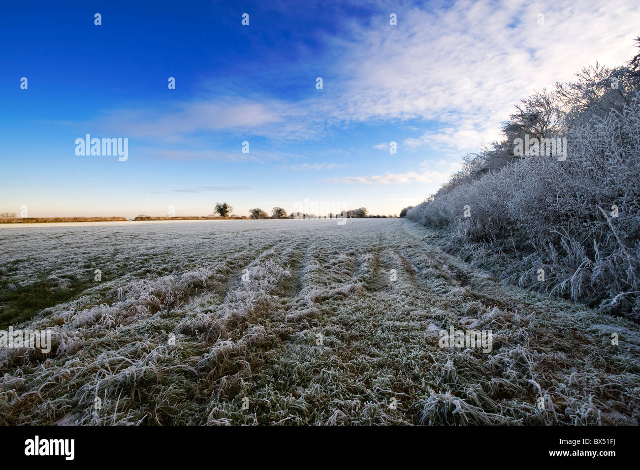 Winter scenes in Somerset, England, UK. Frosty fields and frozen mixed ...