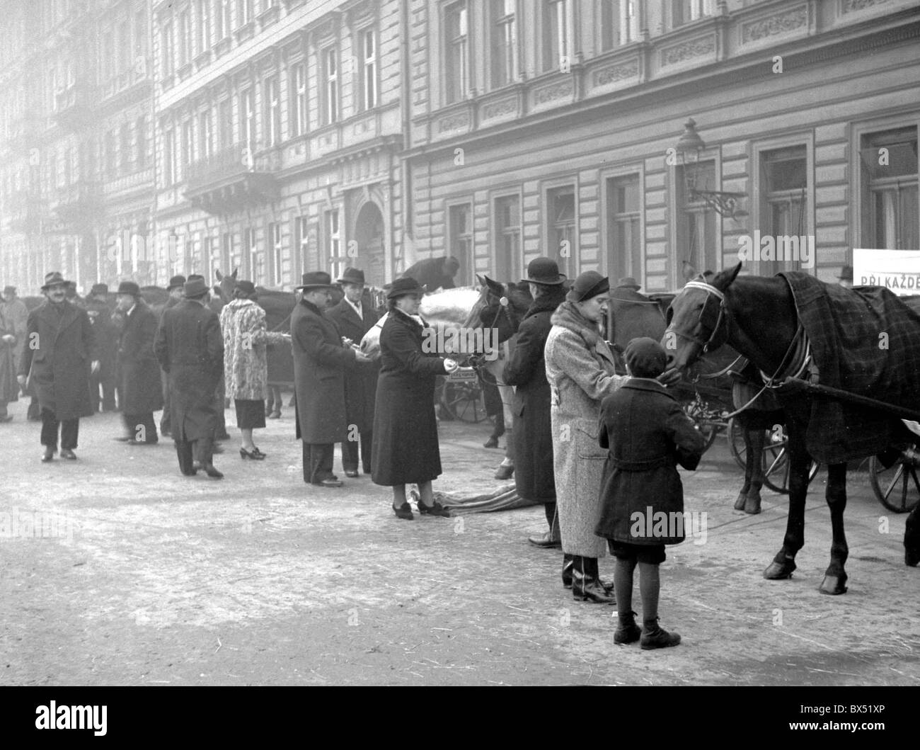 Czechoslovakia 1937, vintage photograph of people feeding horses during ...