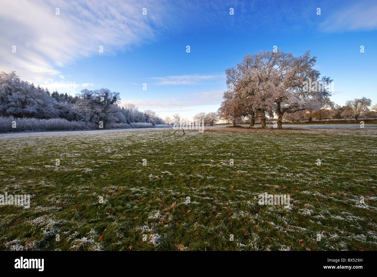Winter scenes in Somerset, England, UK. Frosty fields and frozen mixed ...