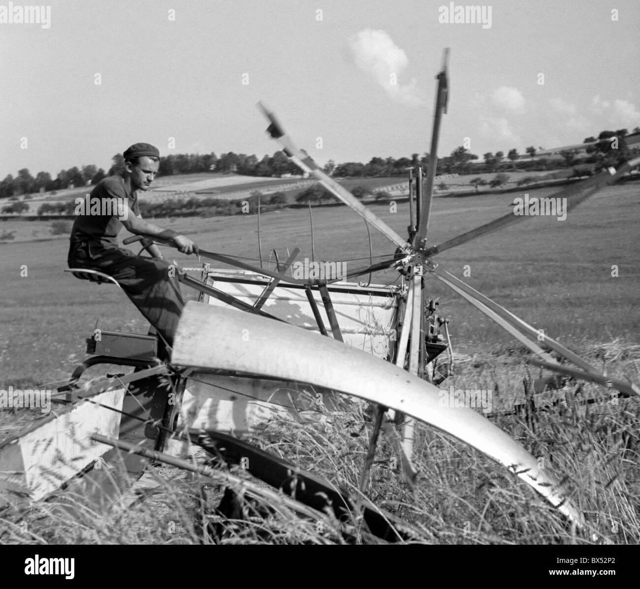 Czechoslovakia, whaet harvest. Man atop harvesting machine pulled by ...