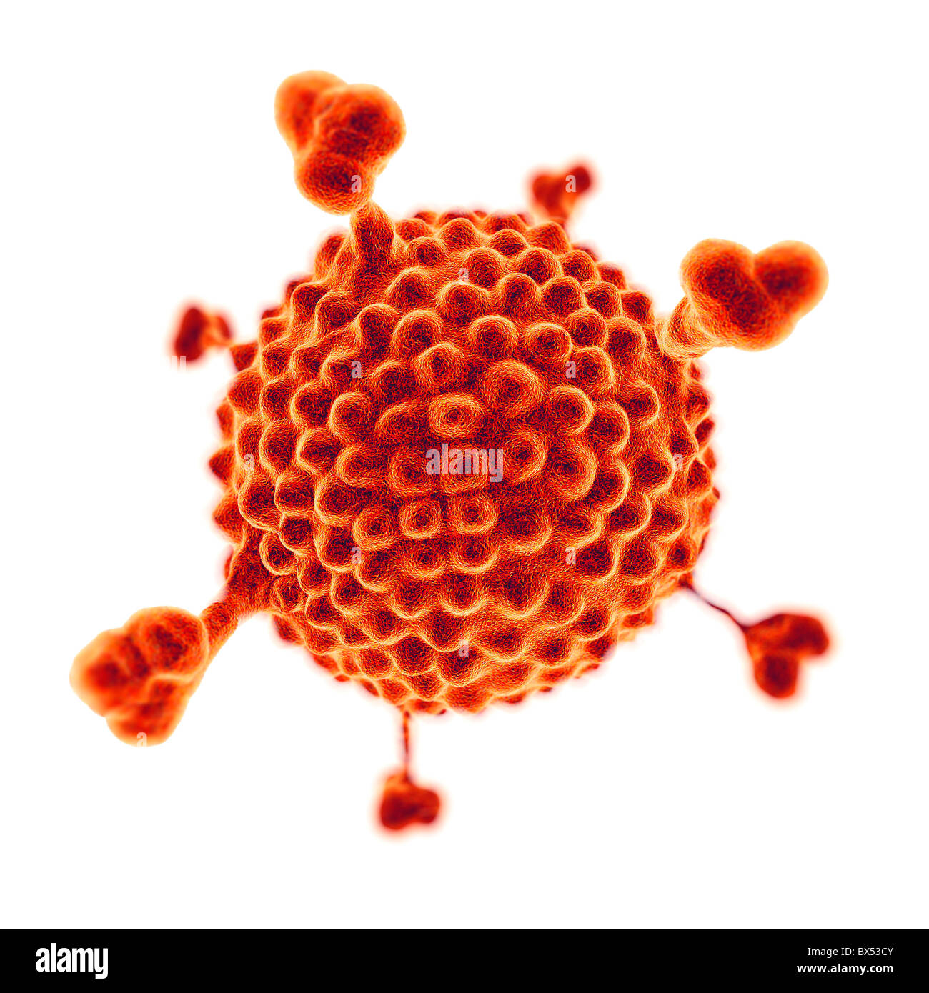 Adenovirus hi-res stock photography and images - Alamy