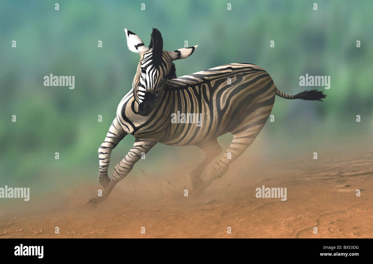Artwork of a zebra galloping Stock Photo - Alamy
