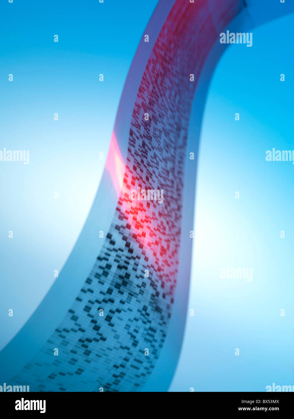 Genetics data hi-res stock photography and images - Alamy