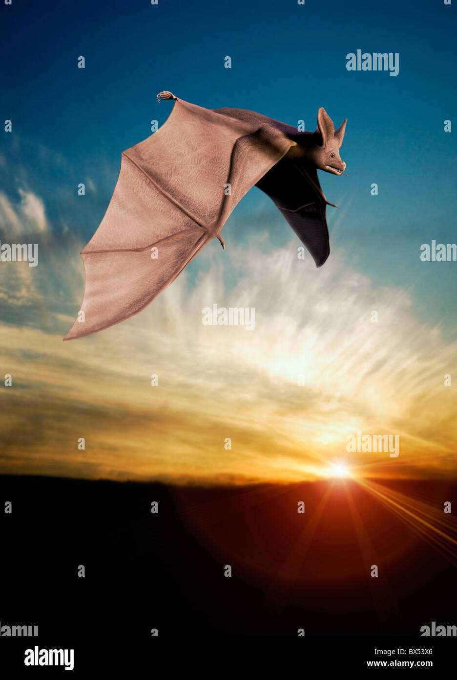 Bat in flight, artwork Stock Photo - Alamy