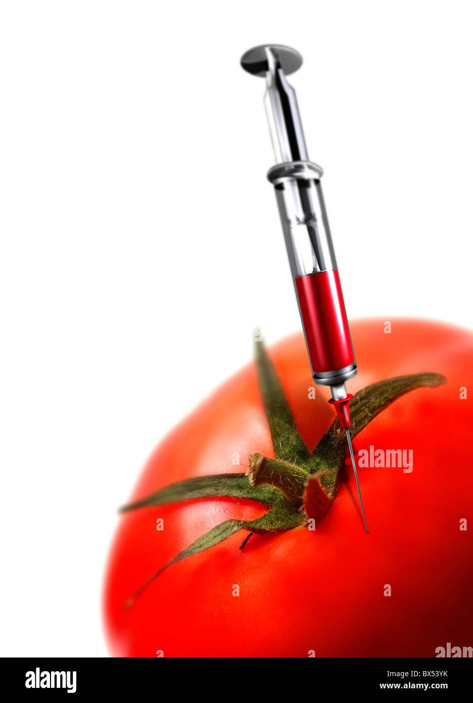 Genetically-engineered tomato, artwork Stock Photo - Alamy