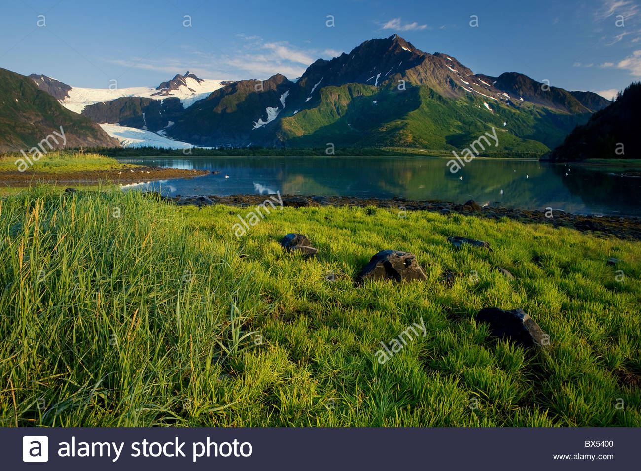 Alaska Maritime National Wildlife Refuge Stock Photos & Alaska Maritime ...