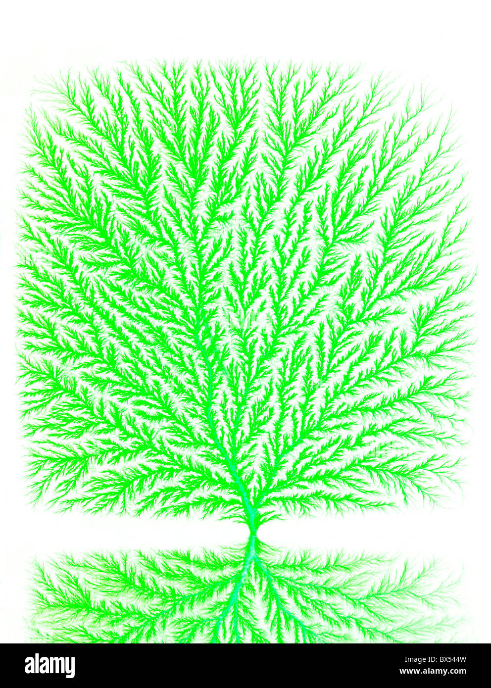 Lichtenberg figure hi-res stock photography and images - Alamy