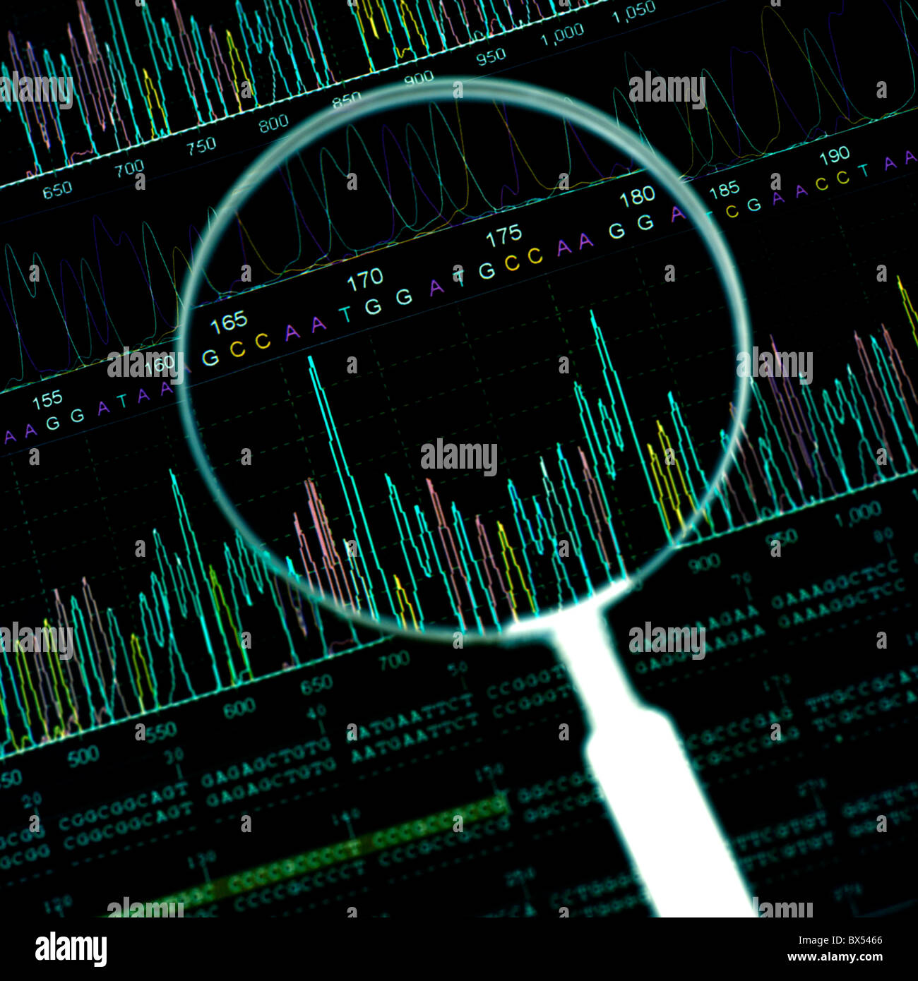 Dna graph hi-res stock photography and images - Alamy