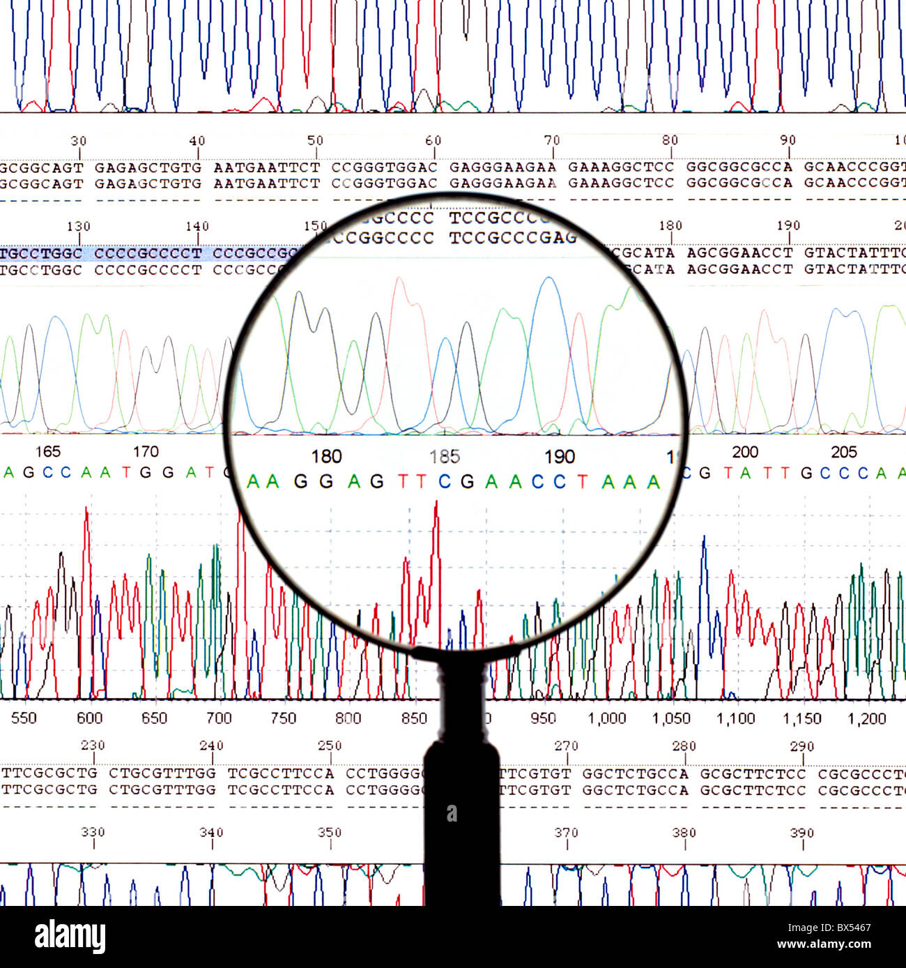 Dna graph hi-res stock photography and images - Alamy