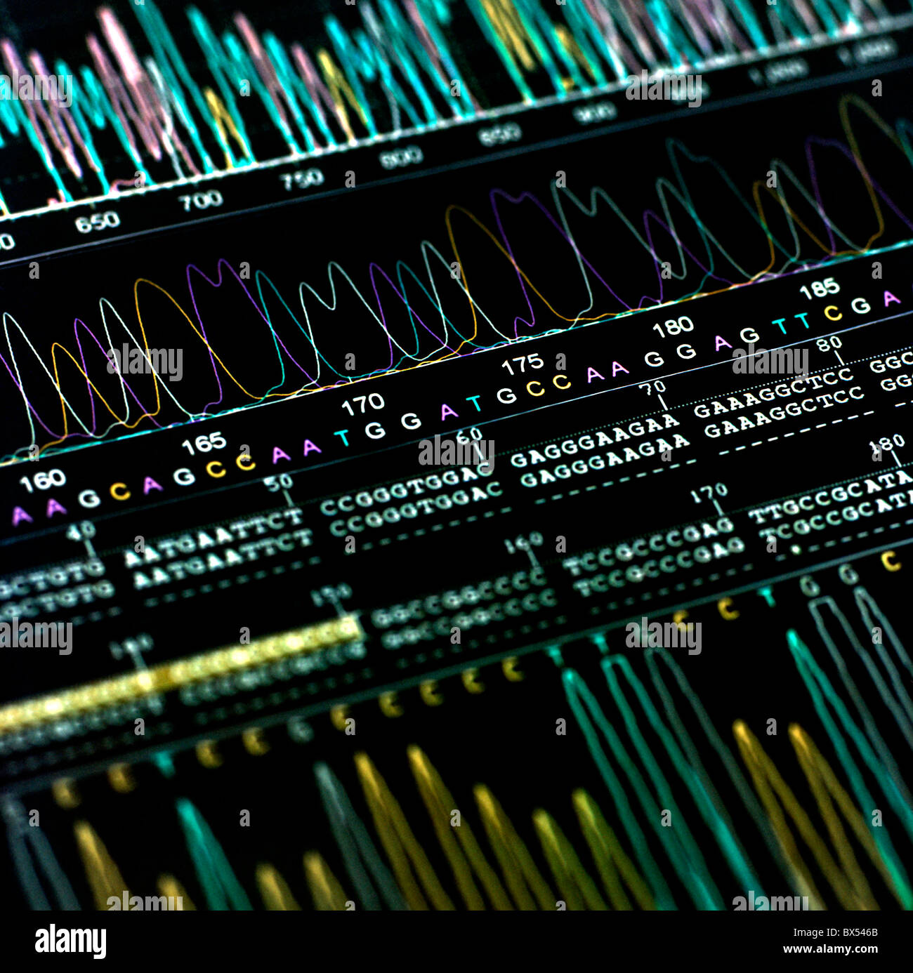 Dna data hi-res stock photography and images - Alamy