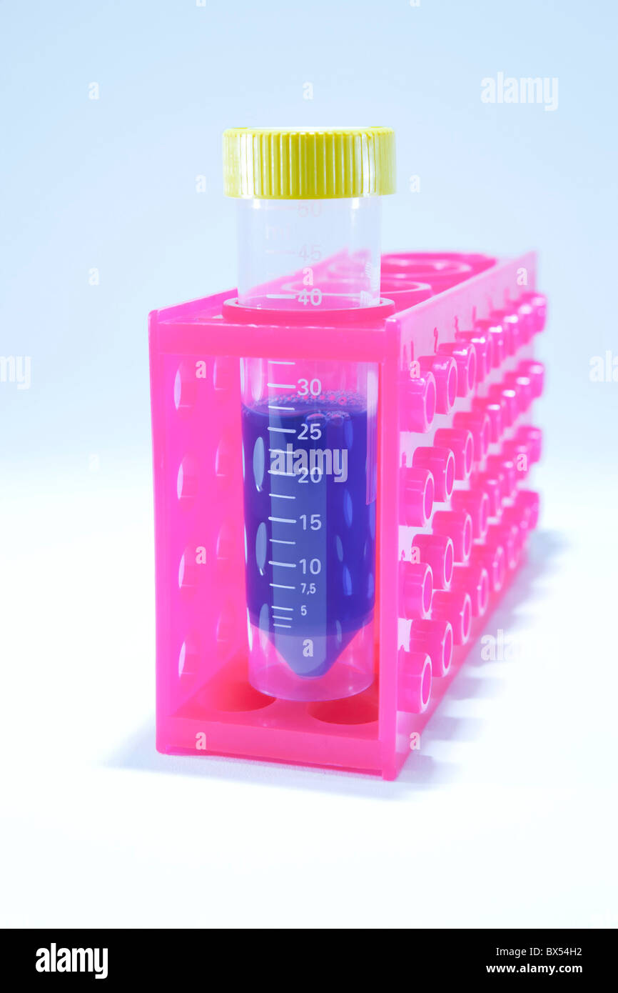 Sample tube in a rack Stock Photo - Alamy