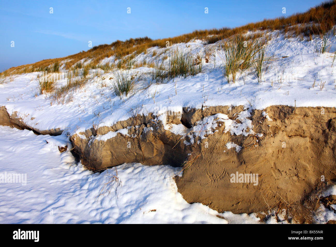 Bottom mud hi-res stock photography and images - Alamy