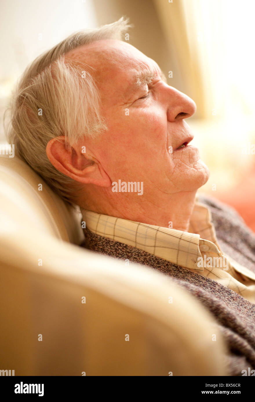 Senior man napping Stock Photo - Alamy