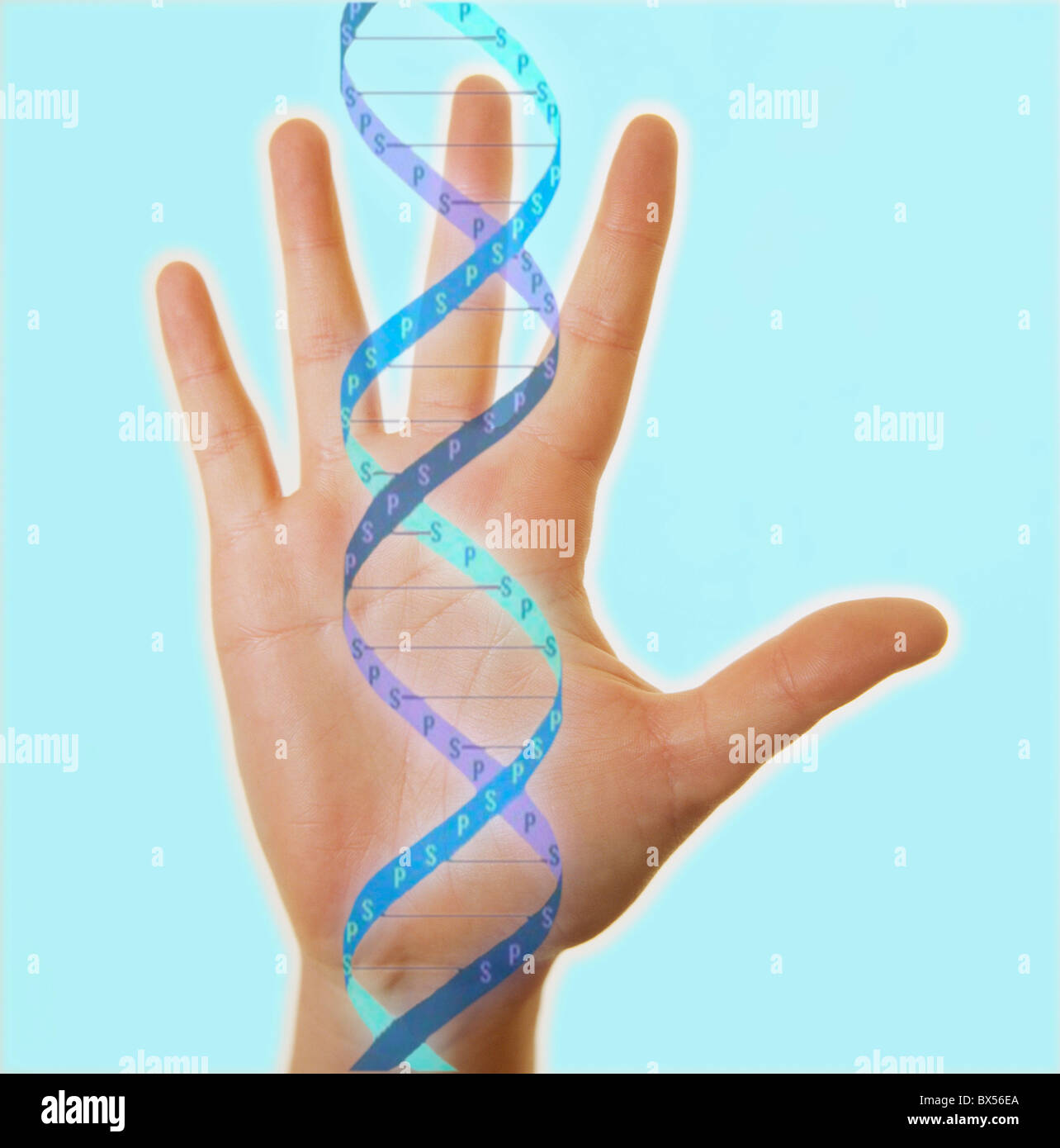 Human dna hand hi-res stock photography and images - Alamy