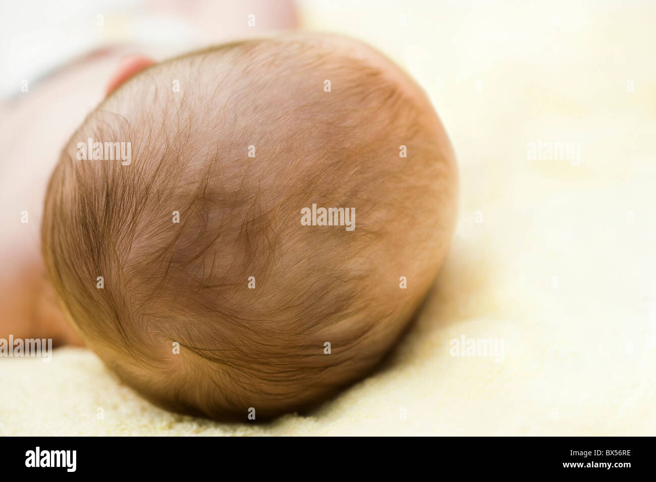Baby boy's head Stock Photo - Alamy