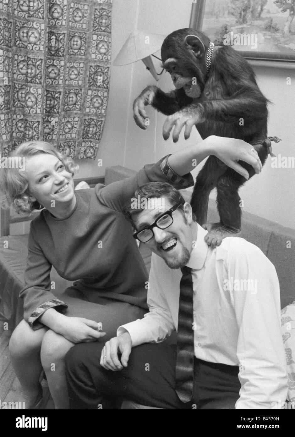 Eva Romanova, Jackie Graham, pet, chimpanzee Stock Photo - Alamy