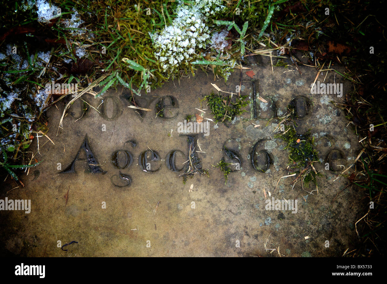 Overgrown headstone in church graveyard Stock Photo - Alamy