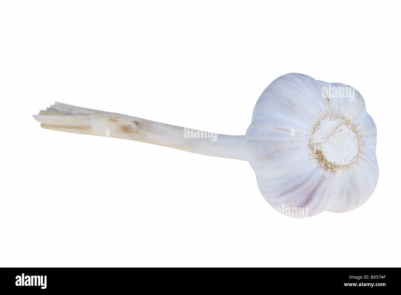 Big macro of garlic isolated on white background Stock Photo - Alamy