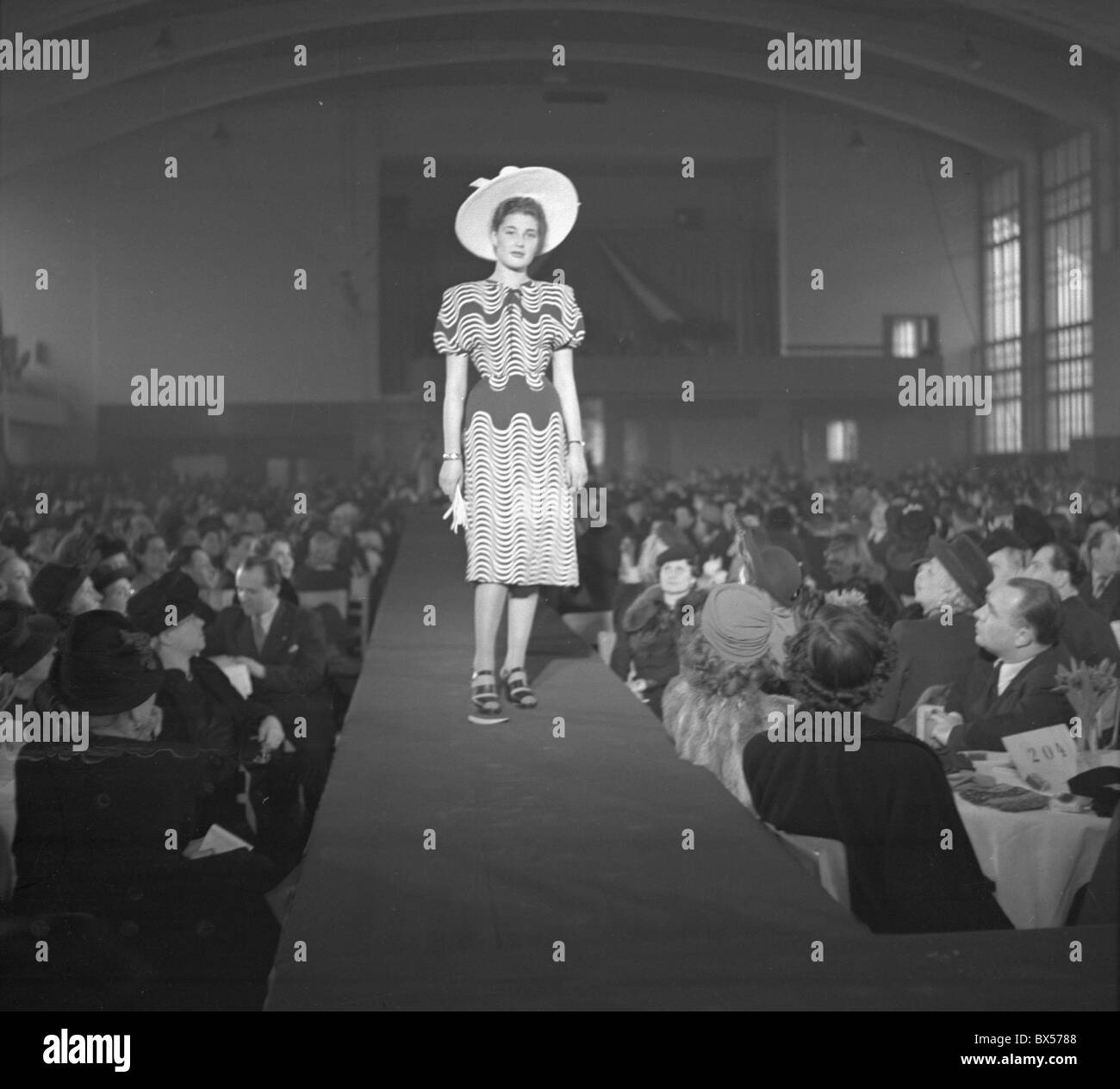 Cat walks Black and White Stock Photos & Images - Alamy