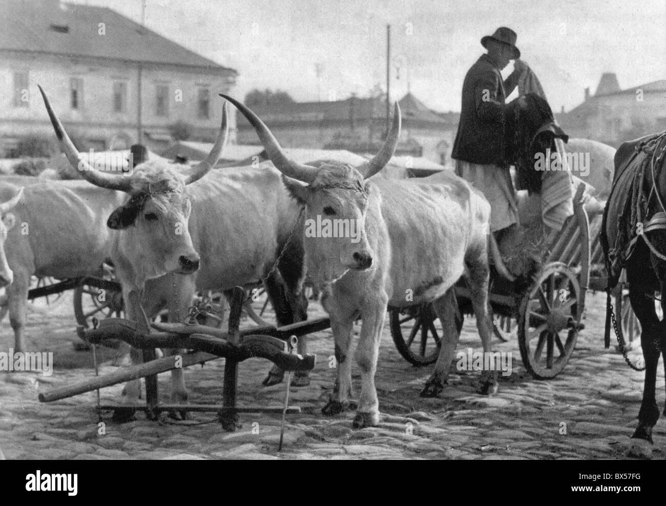 Ruthenia Black and White Stock Photos & Images - Alamy