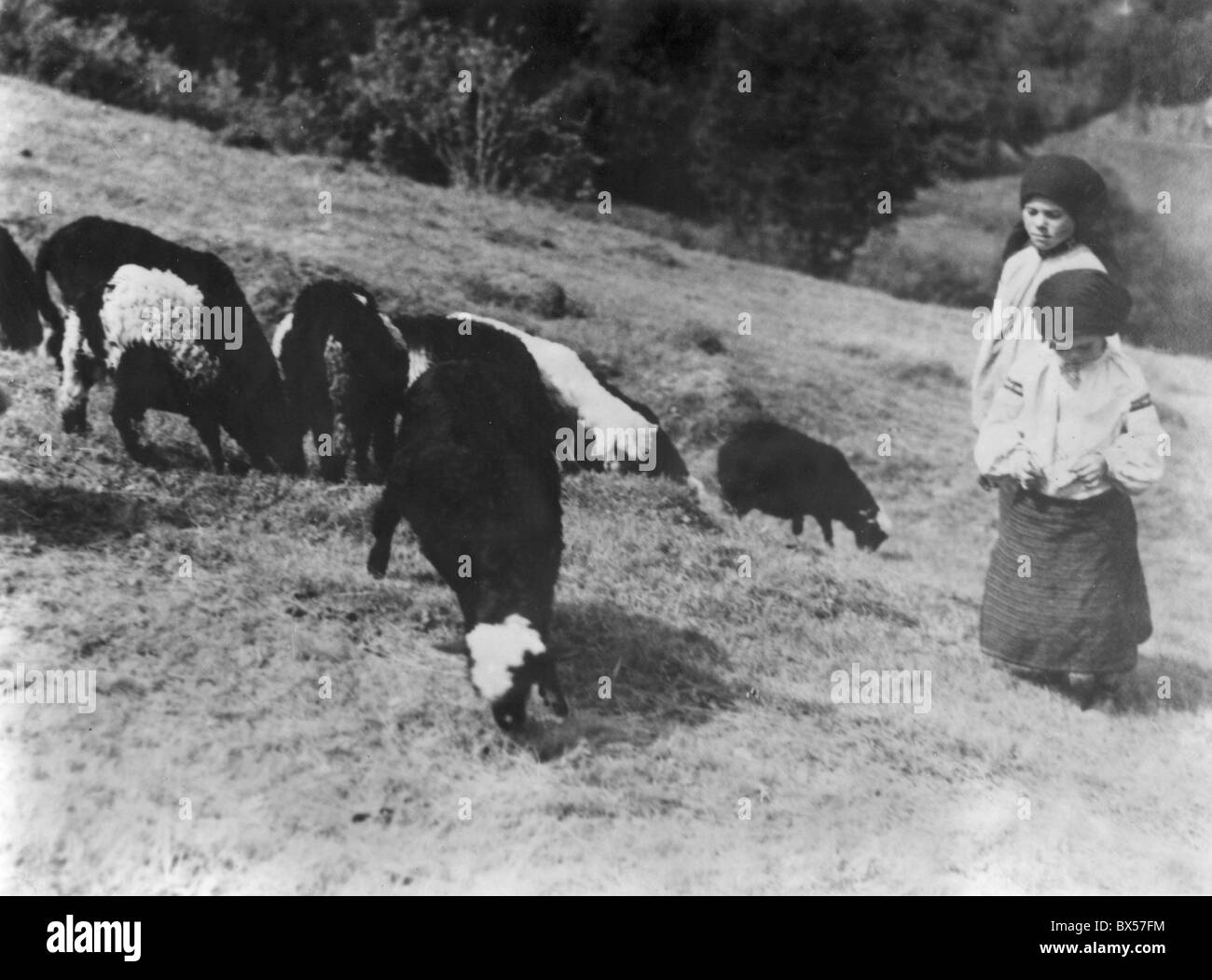 Ruthenia Black and White Stock Photos & Images - Alamy