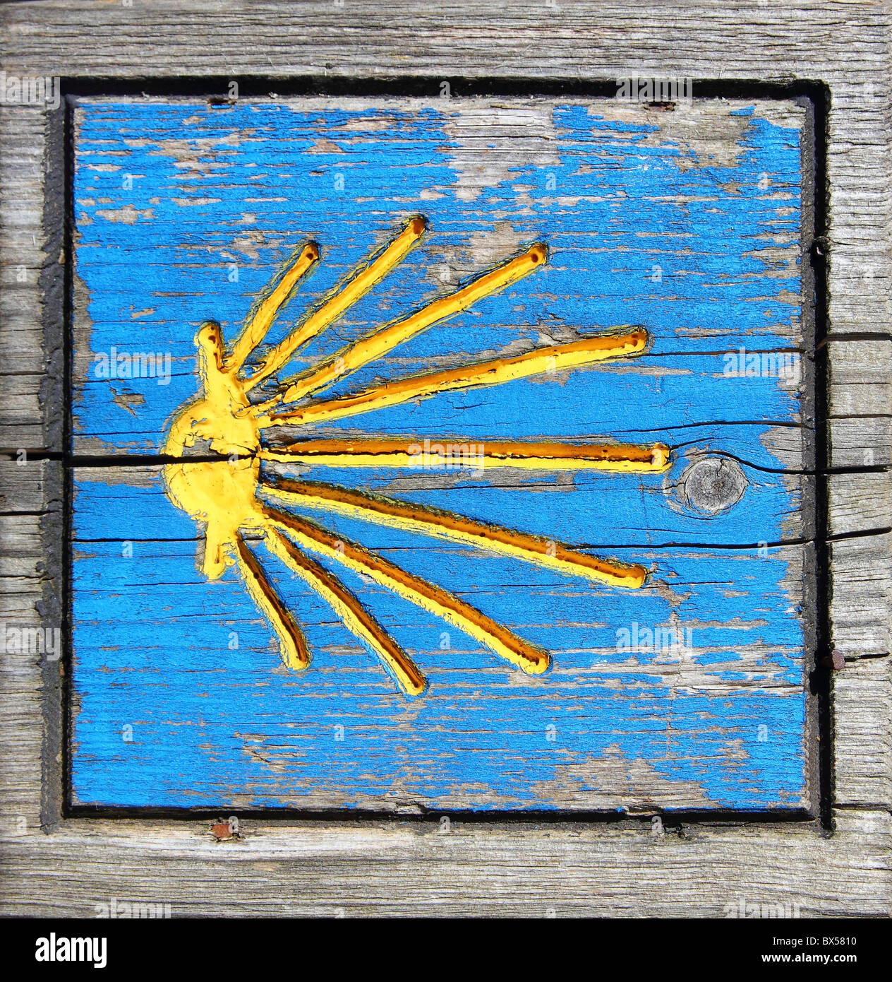 Symbol of pilgrims shell hi-res stock photography and images - Alamy