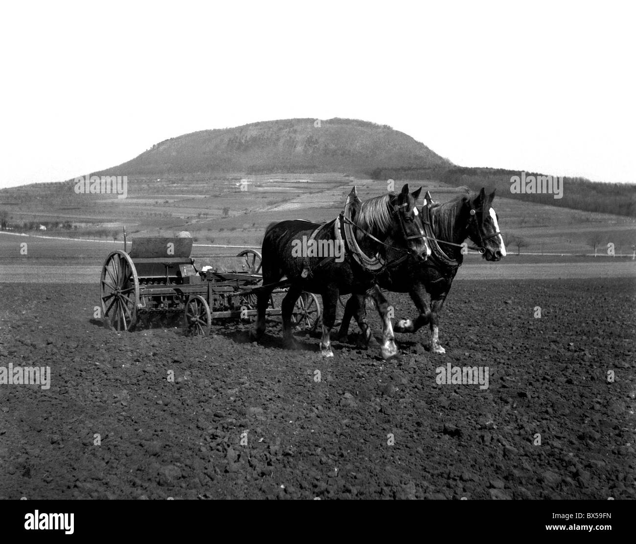 Czechoslovakia 1949. Pair of horses work on field near Rip Mountain ...
