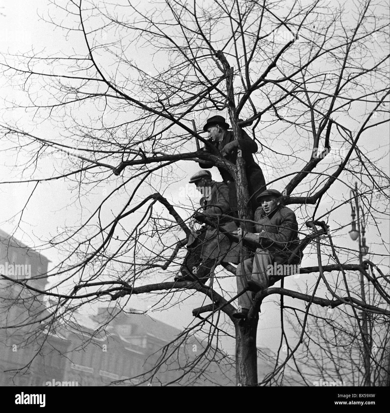 Prague, Wenceslas Square, February 1948, people climbed trees for ...