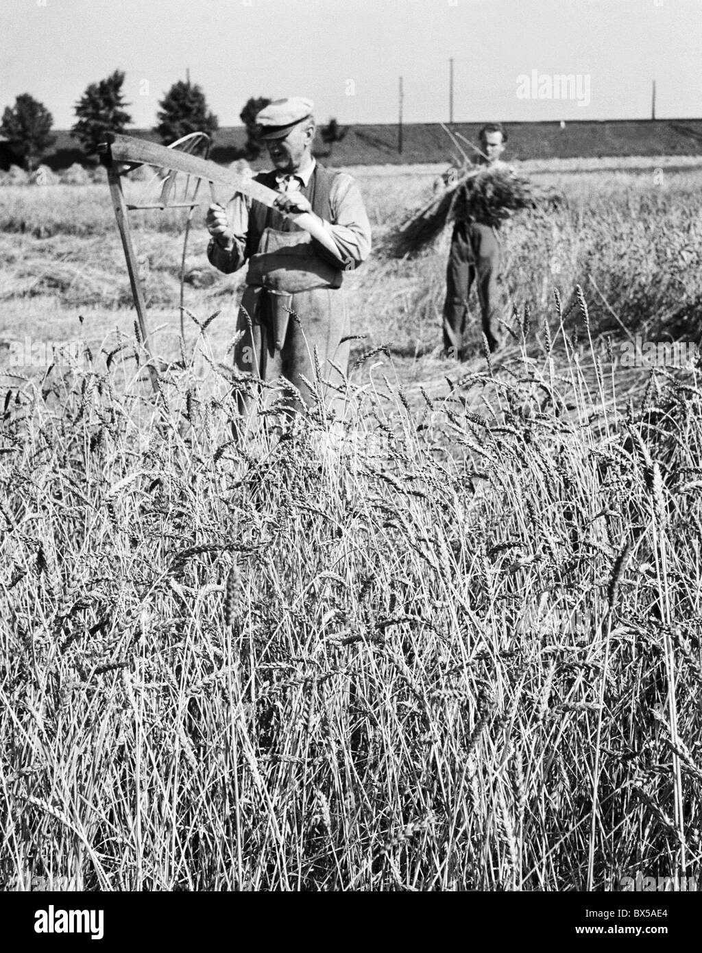 Farmer scythe hi-res stock photography and images - Alamy