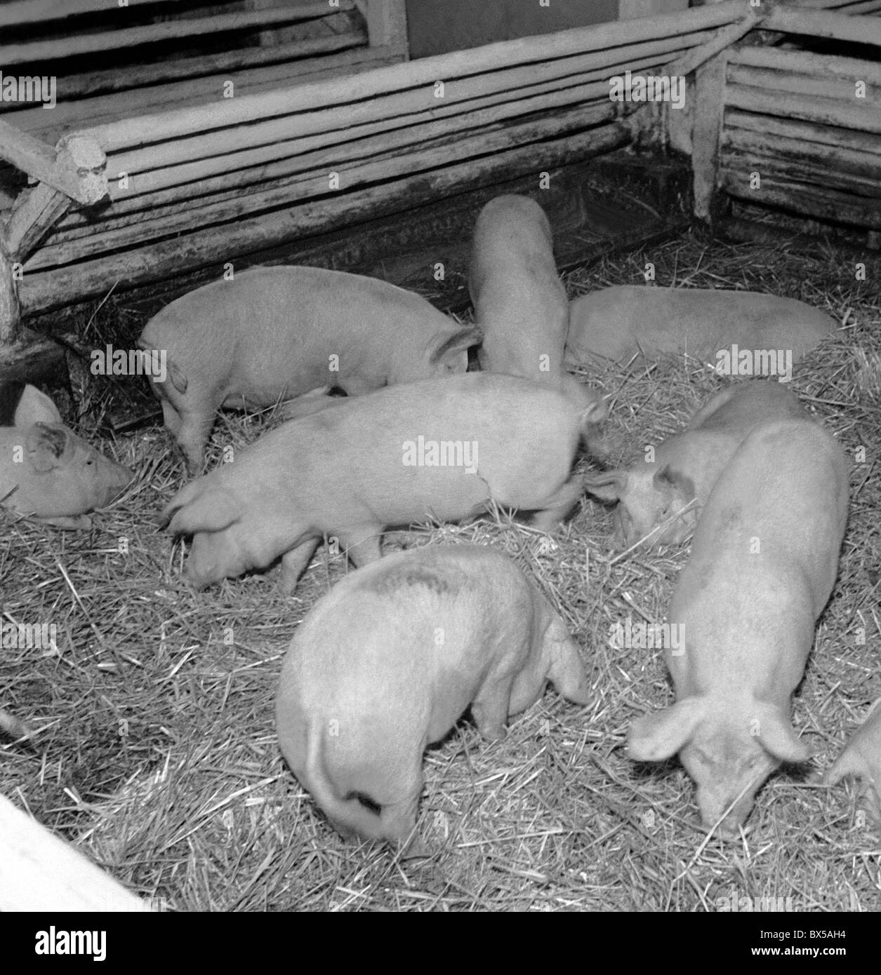 Farm ctktopix hi-res stock photography and images - Alamy