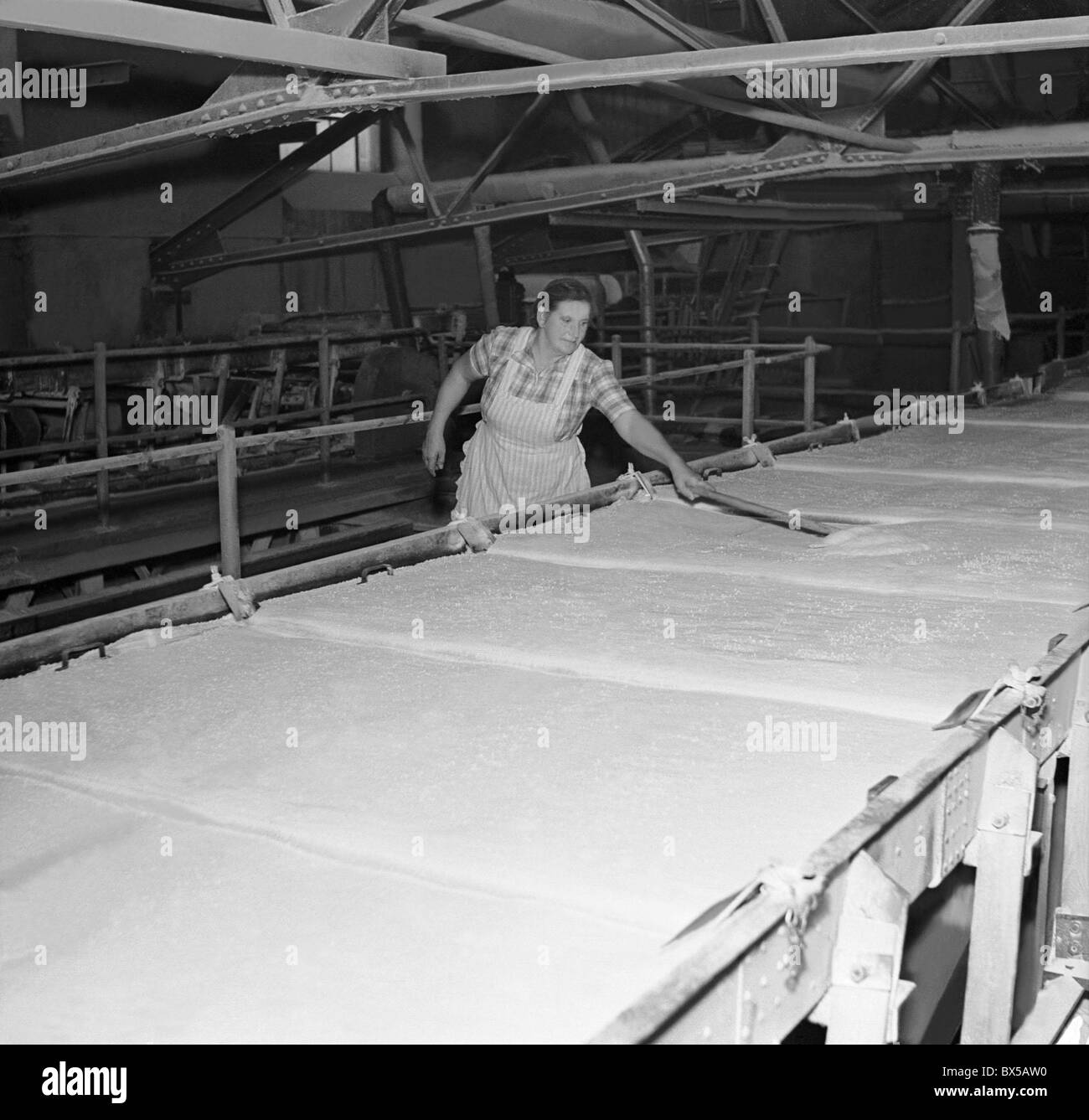 Czechoslovakia - Melnik 1950. Sugar refinery. Worker operate sugar ...