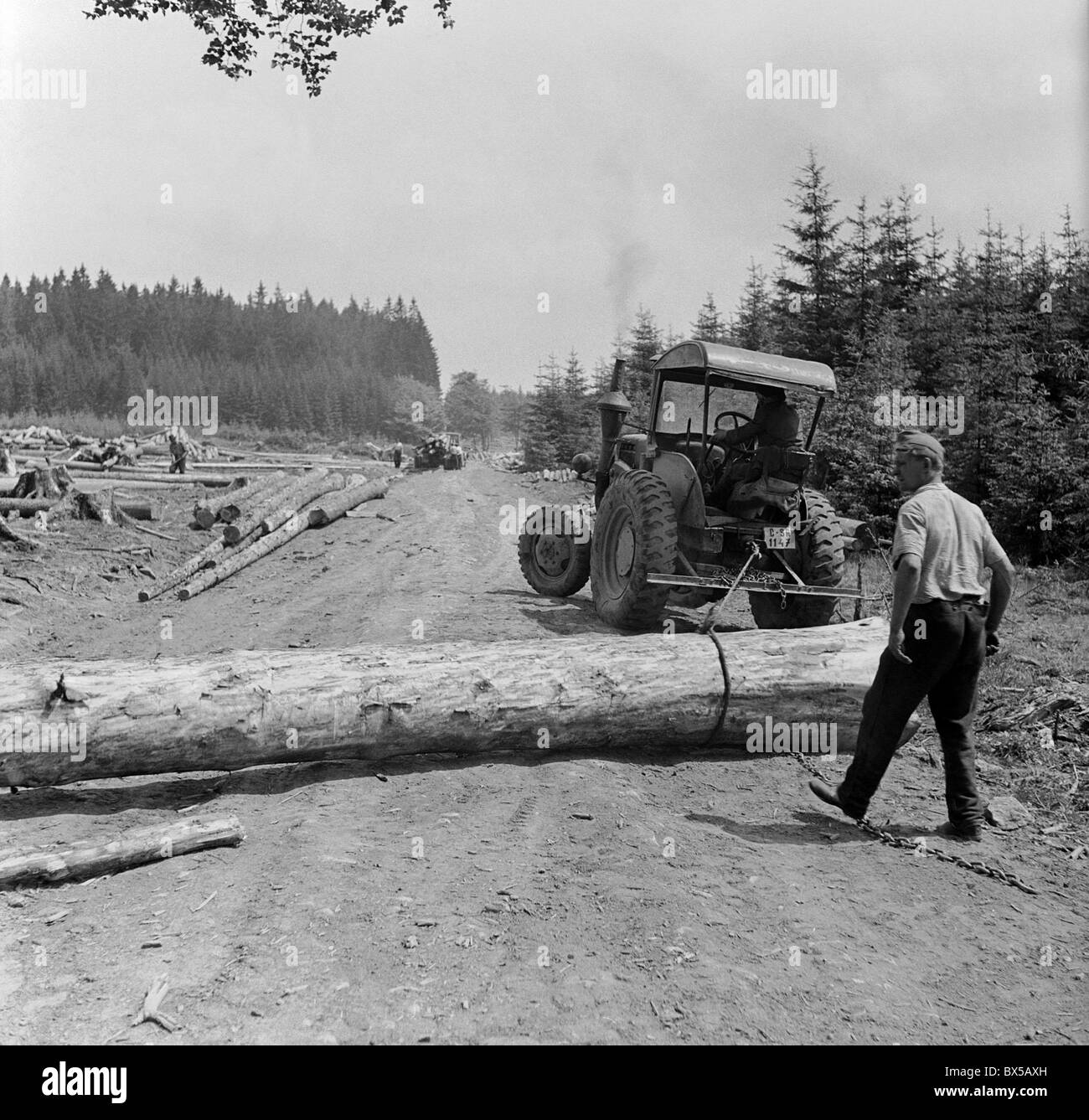 Czechoslovakia - Plane by Marienbad 1948. Loggers pulling timber with ...
