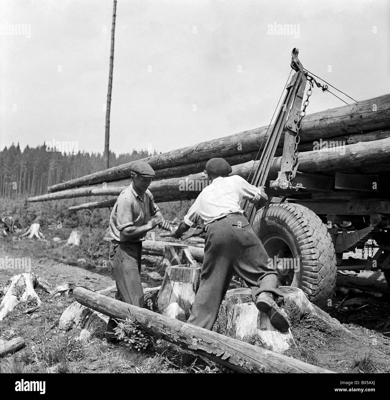 Czechoslovakia - Plane by Marienbad 1948. Loggers loading timber on ...
