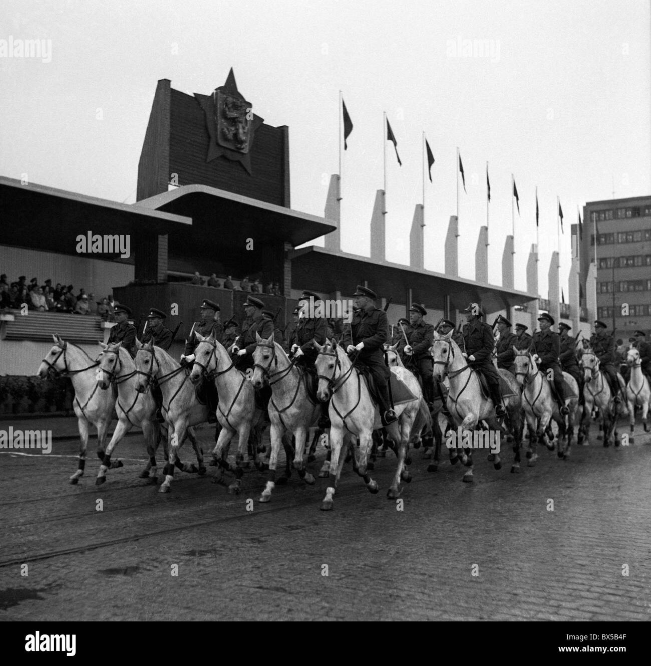Army horse hi-res stock photography and images - Alamy