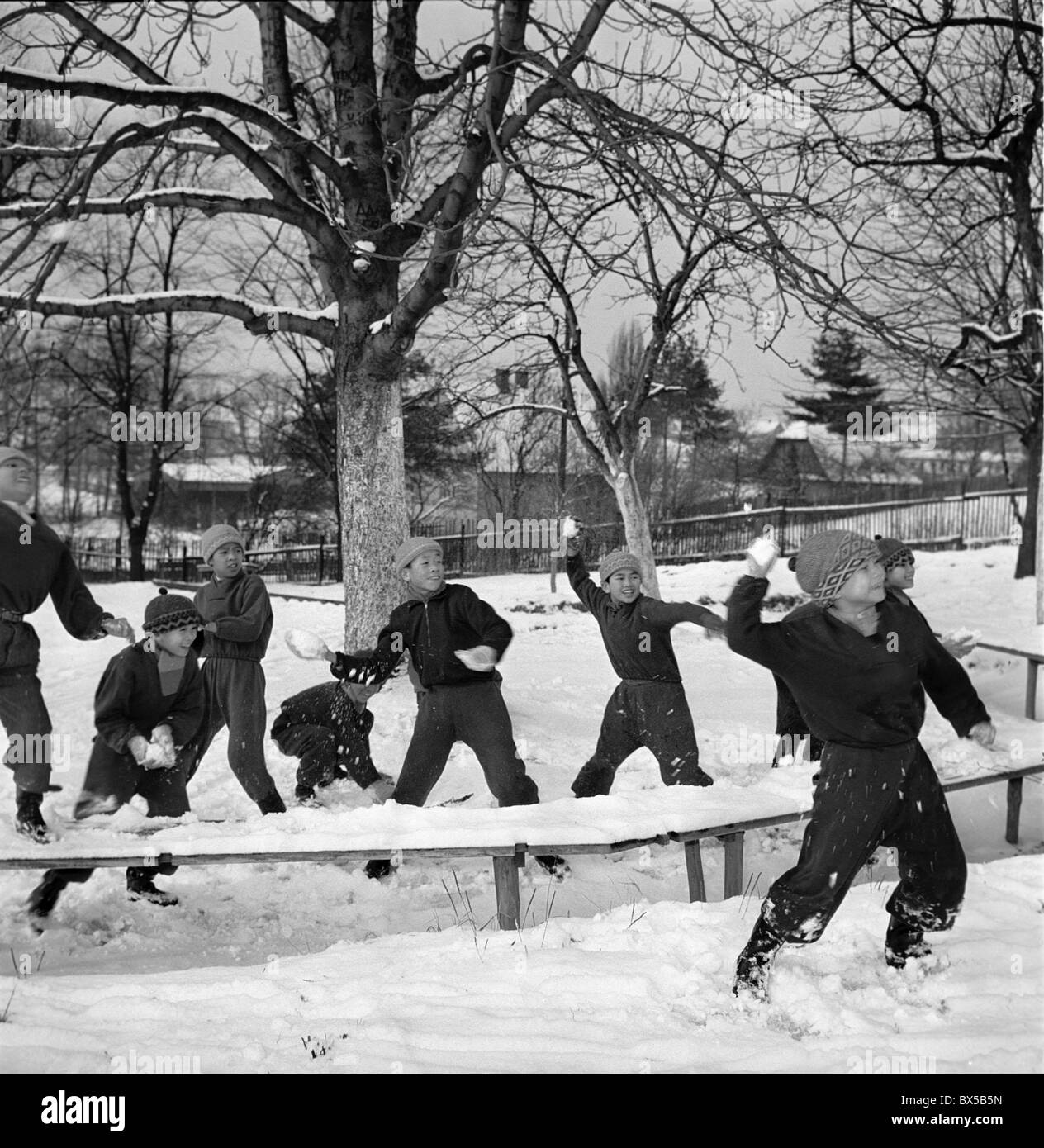 snow ball fight, first snow Stock Photo - Alamy