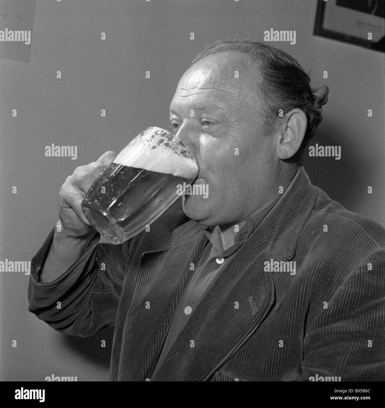 Budweis, beer brewery Samson, tasting, testing, hops Stock Photo - Alamy
