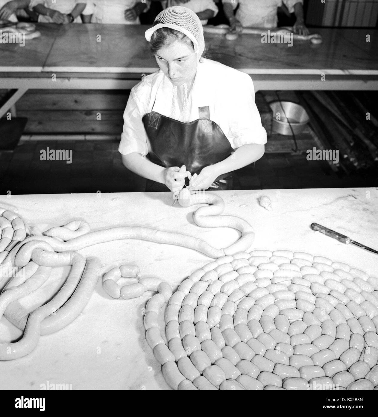 Slaughter house female employee makes sausages at Louny plant ...