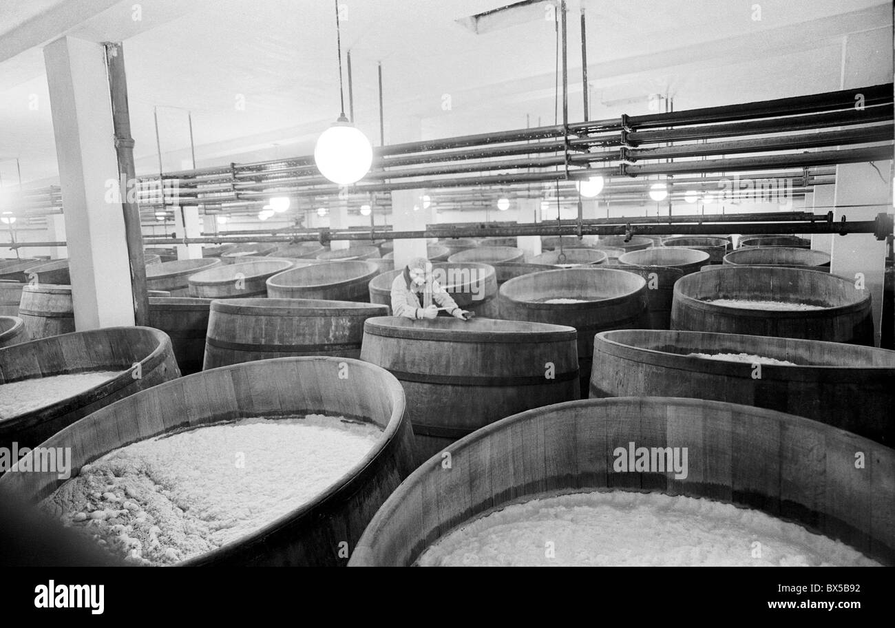 beer brewery, malt, hops, aging Stock Photo - Alamy