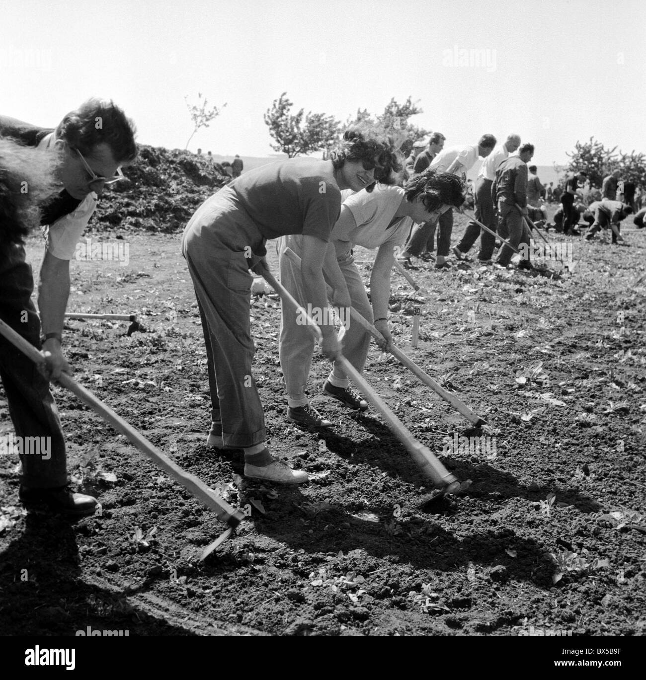 volunteers, free work Stock Photo - Alamy