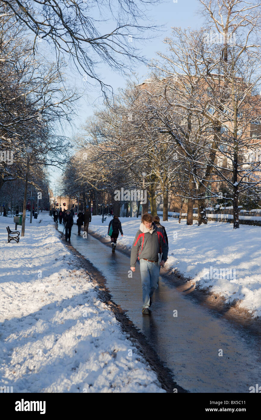 Middle meadow walk hi-res stock photography and images - Alamy