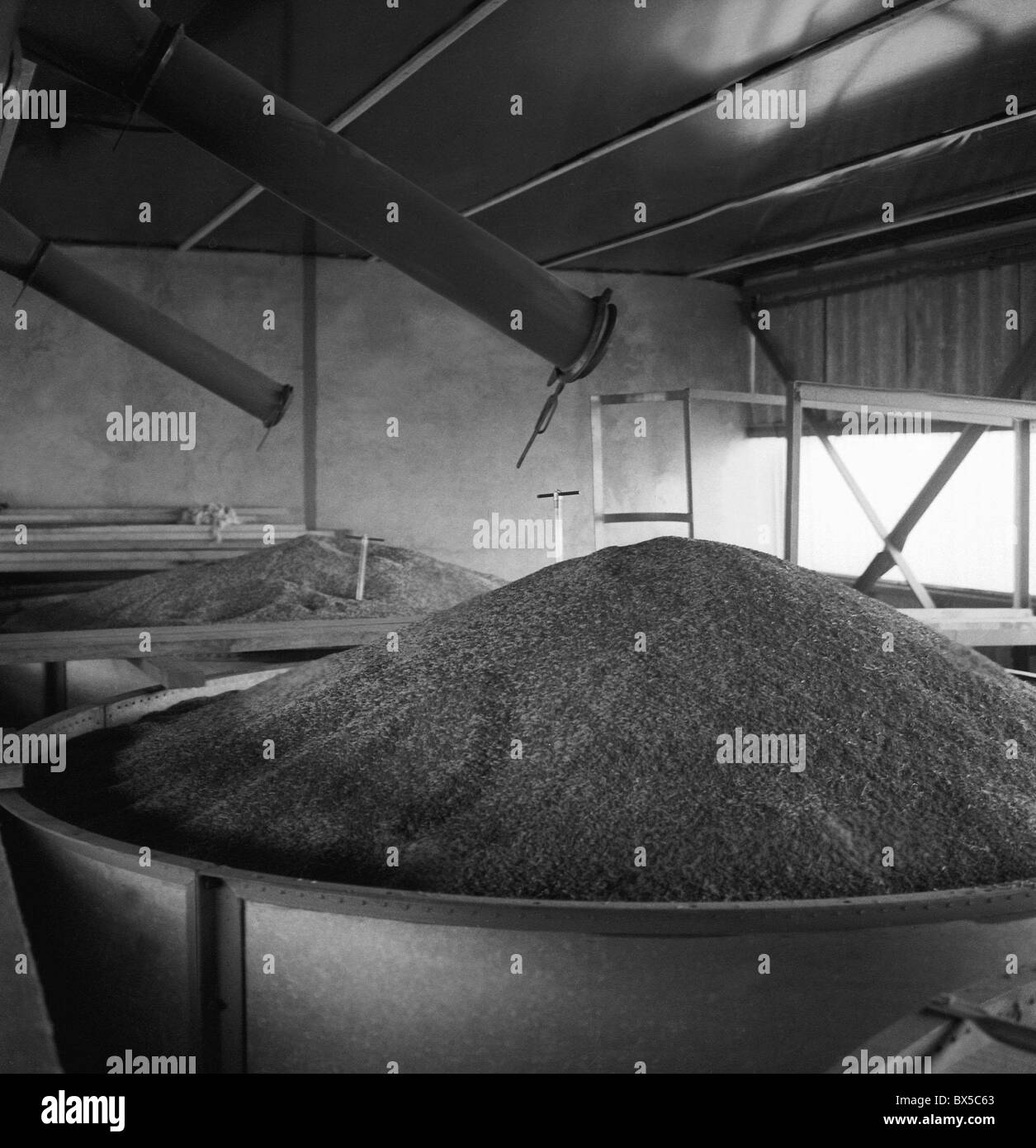 Test academy Black and White Stock Photos & Images - Alamy